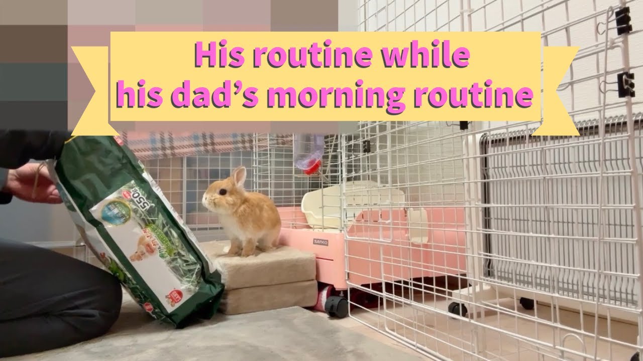 His routine while his dad's morning routine - YouTube