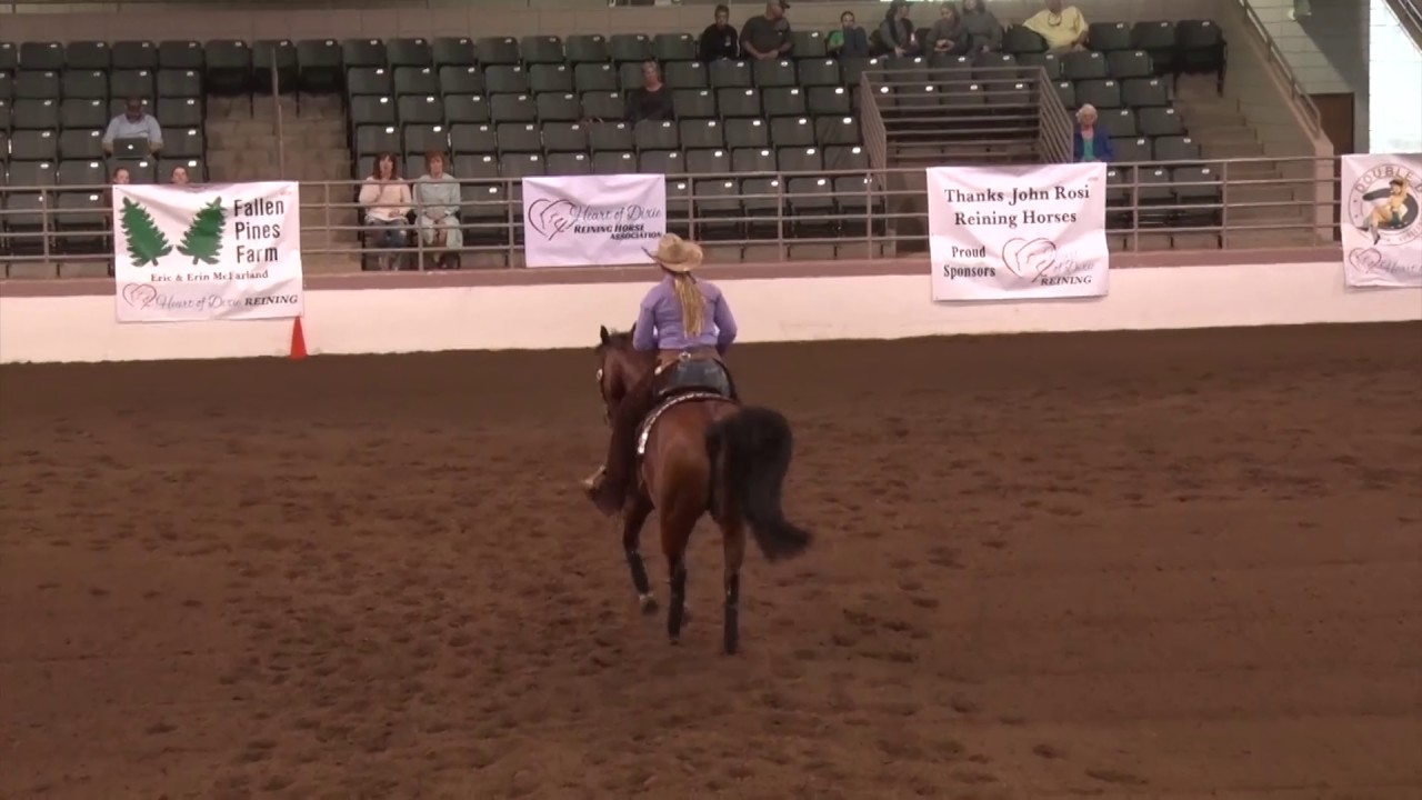 170415 Alicia Rapp on Kelvins Spark NHNP - YouTube