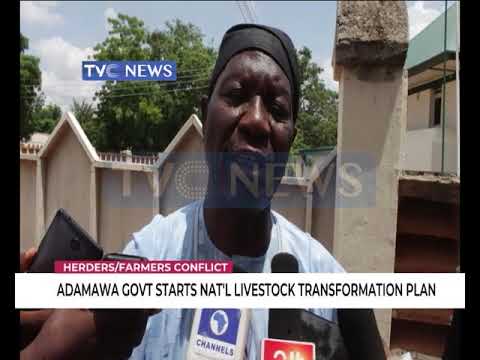 Adamawa government begins National Livestock Transformation Plan - YouTube