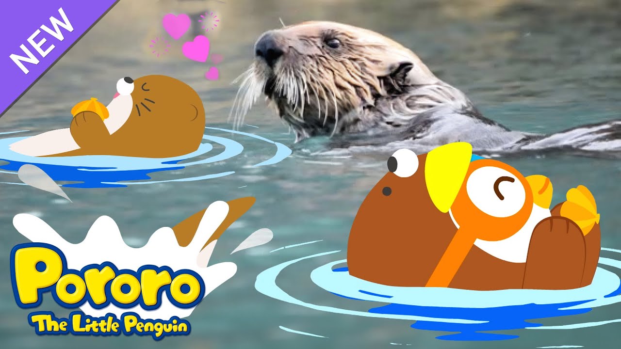 [4K] Pororo Sea Animal Song | Sea Otter Holding a Clam! | Otter Song ...