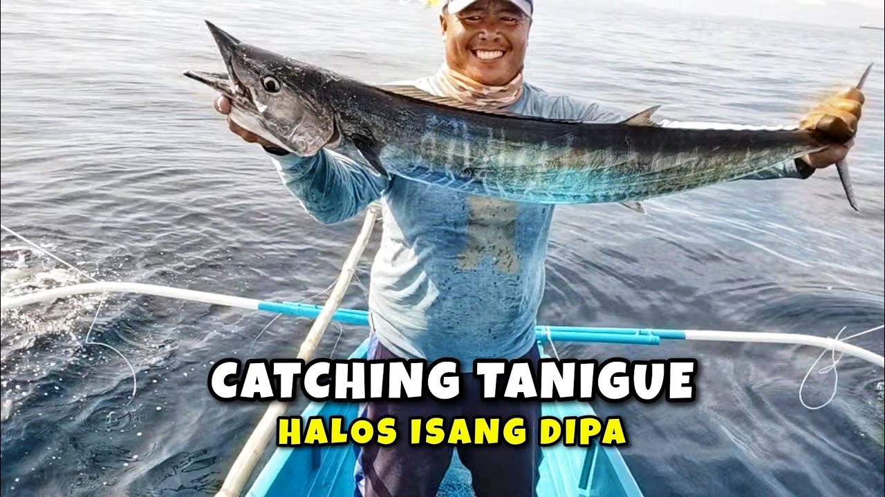 CATCHING TANIGUE | HALOS MAG ISANG DIPA SA SOBRANG LAKI - YouTube