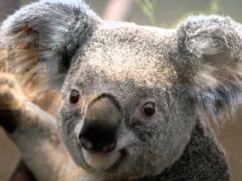 bilgisayar resimleri