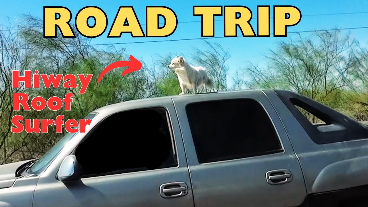 Youtuber Meetup in La Paz - YouTube