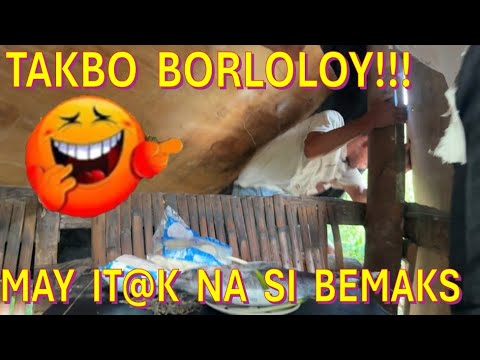Nagkuha na si Bemaks Ng katapat mo Borloloy🤣 Watch till the end🤣Bemaks ...