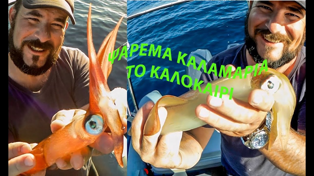 ΠΑΝΙΚΟΣ! ΚΑΛΑΜΑΡΙΑ ΨΑΡΕΜΑ ΜΕΣΑ ΣΤΟ ΚΑΛΟΚΑΙΡΙ! ΔΟΚΙΜΕΣ! CRAZY SQUID ...