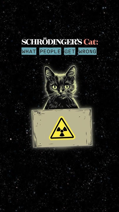Schrödinger’s Cat: What Everyone Gets Wrong, Explained by Schrödinger - YouTube