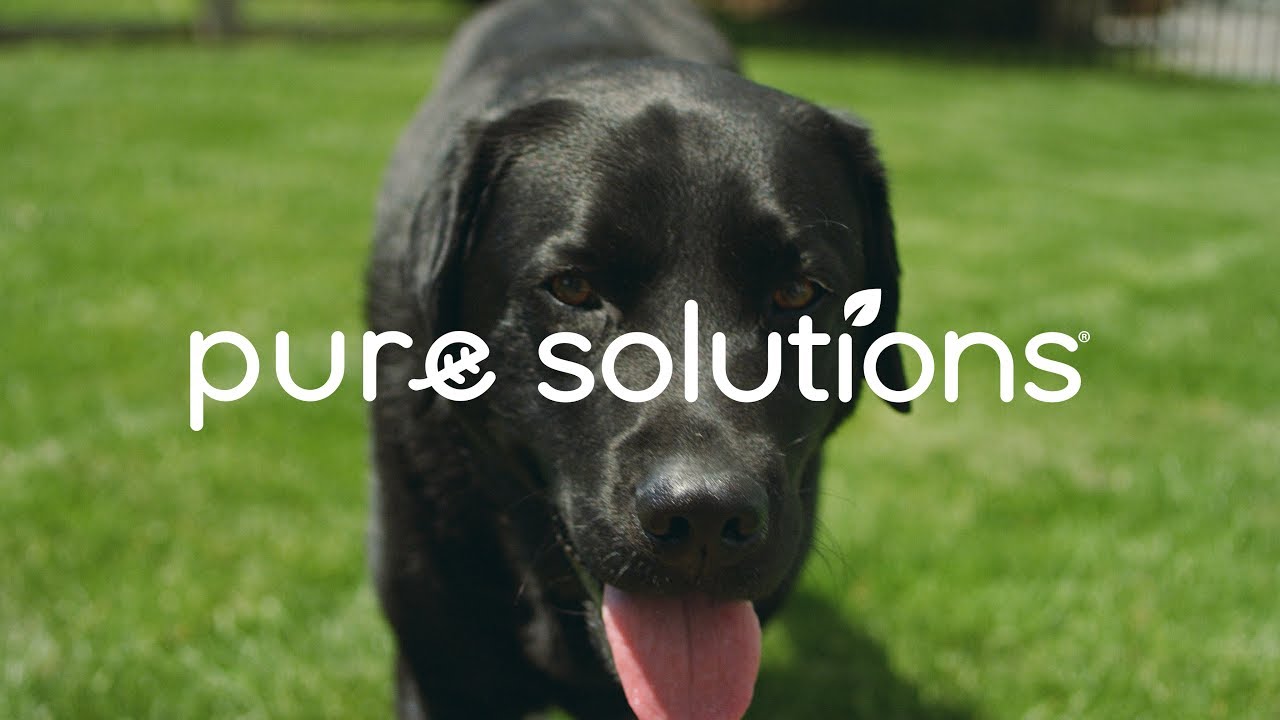 Why Pure Solutions - YouTube