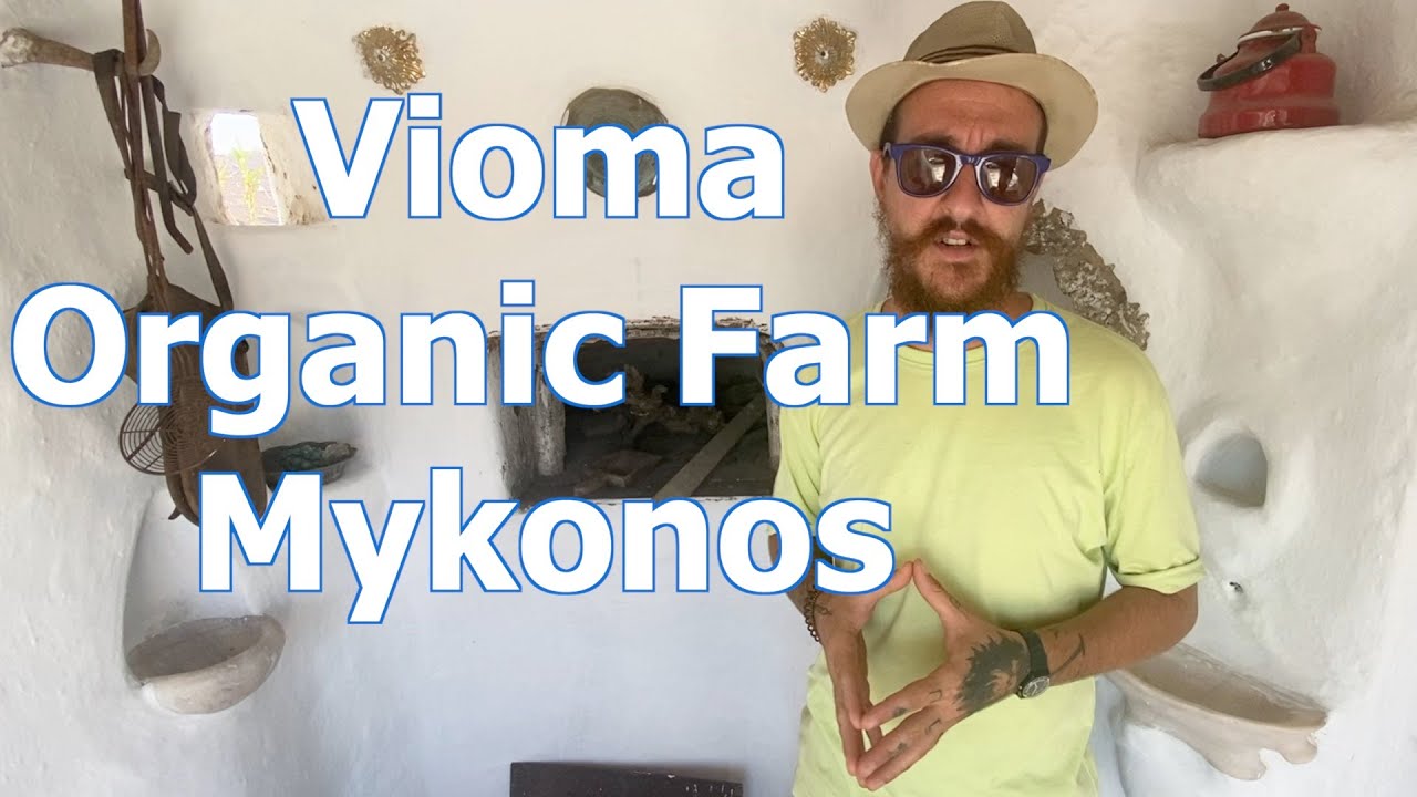Vioma Organic Farm in Mykonos, Greece - Inside The Wood Bread Oven ...