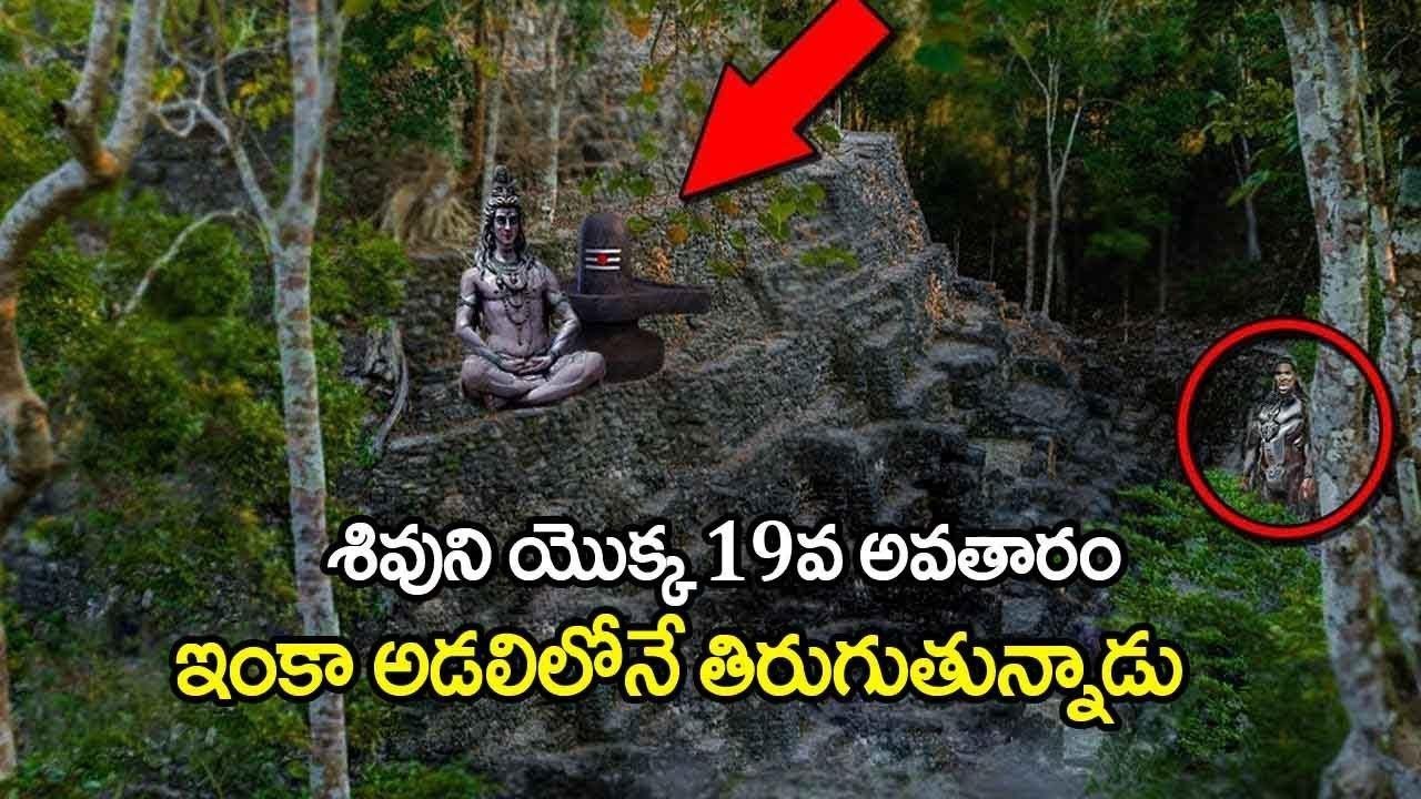 19వ అవతారంలో అడవిలో తిరుగుతున్నశివుడు.. చూసి వణికిపోతున్న ప్రజలు ...