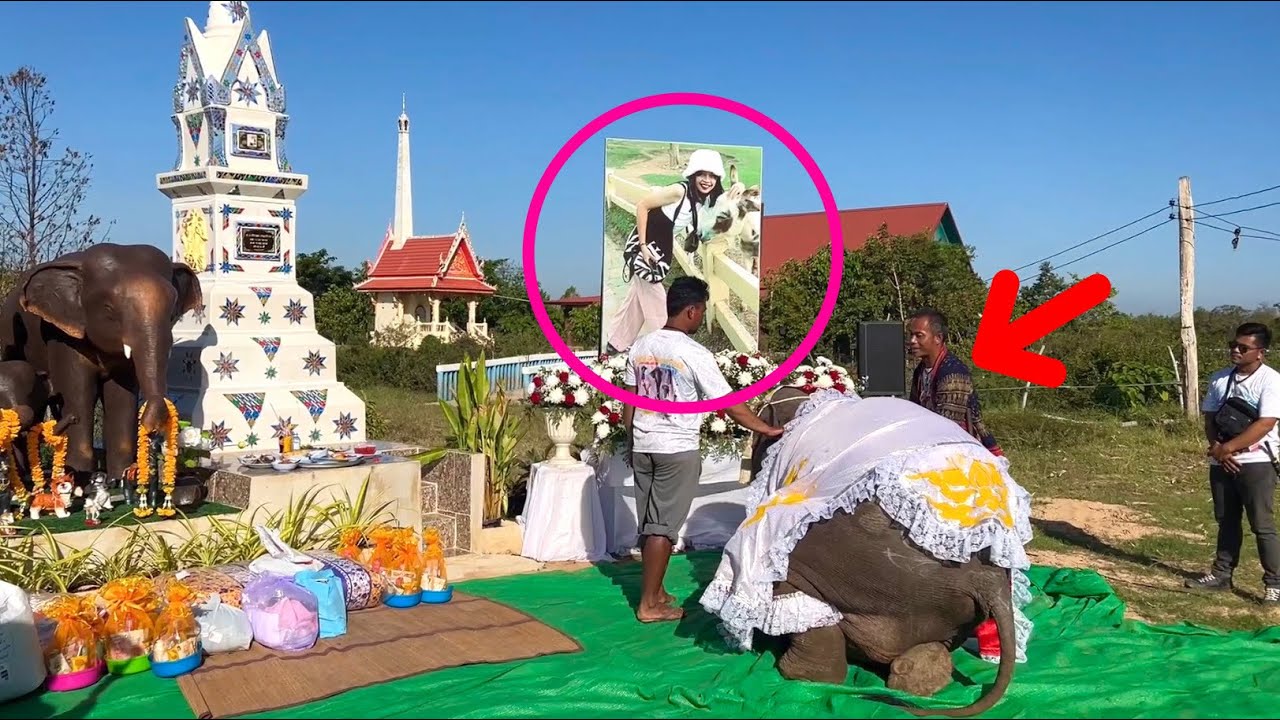 คุณพ่อ…แทบช็อค‼️#supansa นั่งไหว้#พี่ฟิล์ม อึ้ง😱กันทั้งงาน - YouTube