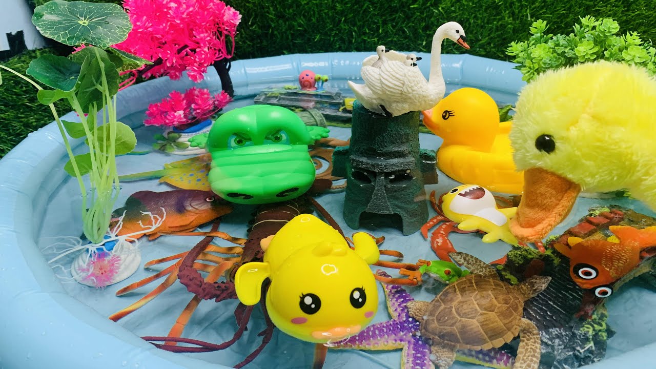 Bebek Berenang, Ayam Warna Warni, Spongebob, Buaya, Angsa, Katak, Telur ...