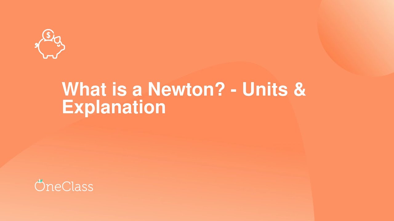 What is a Newton? - Units & Explanation - YouTube