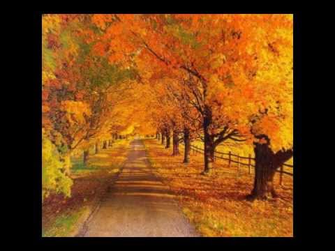 ELSEN KAZIMOGLU - ZENGILANIM.