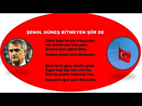 Şenol Güneş, Bitmeyen Şiir