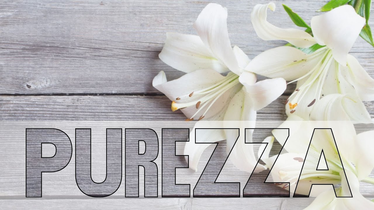 Eminenza della virtù della purezza - San Gaspare Bertoni - YouTube