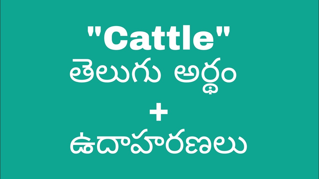 Cattle Meaning In Telugu With Examples Cattle 