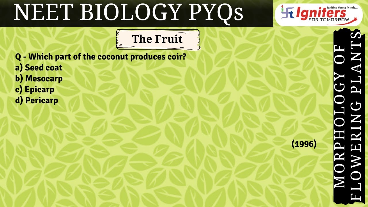 Which part of the coconut produces coir? a) Seed coat b) Mesocarp c ...