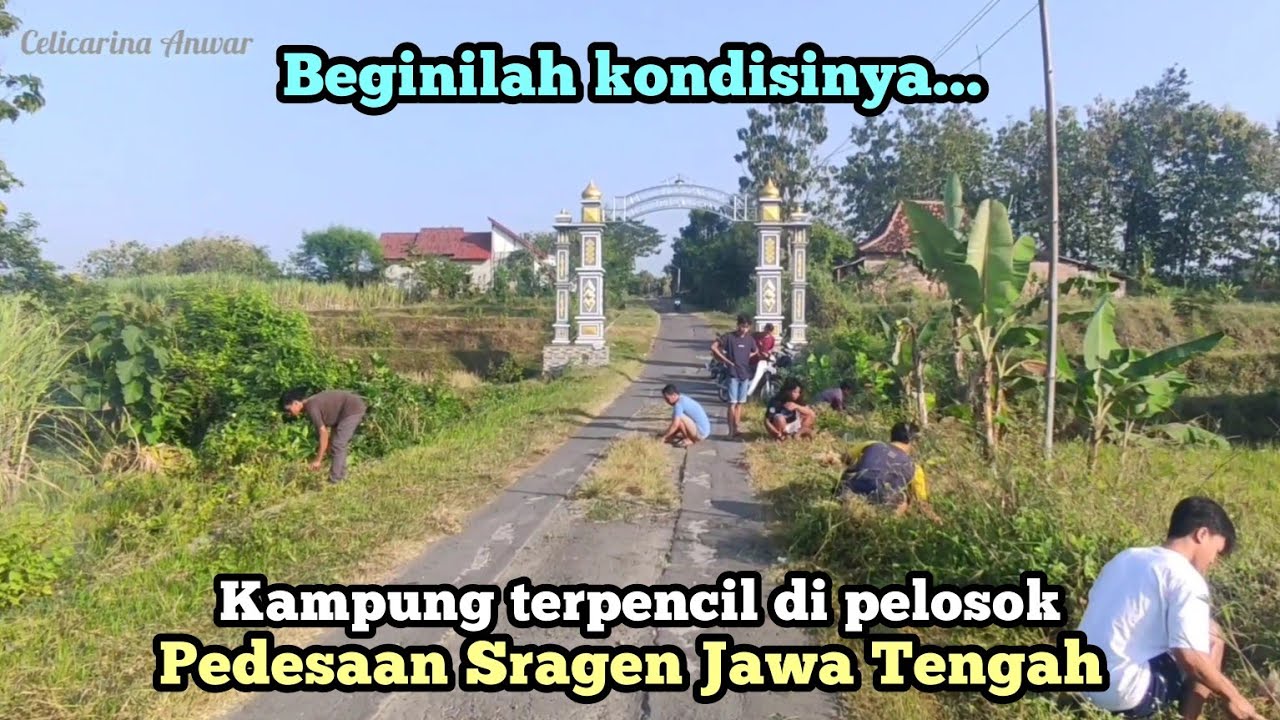 Beginilah kondisinya, suasana kampung terpencil di pelosok pedesaan sragen perbatasan ...