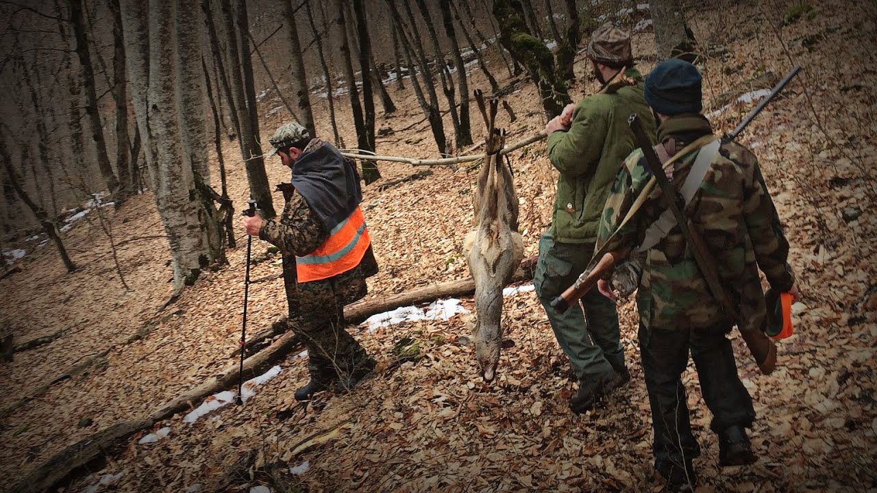 WHY DO PEOPLE HUNT ?! - YouTube