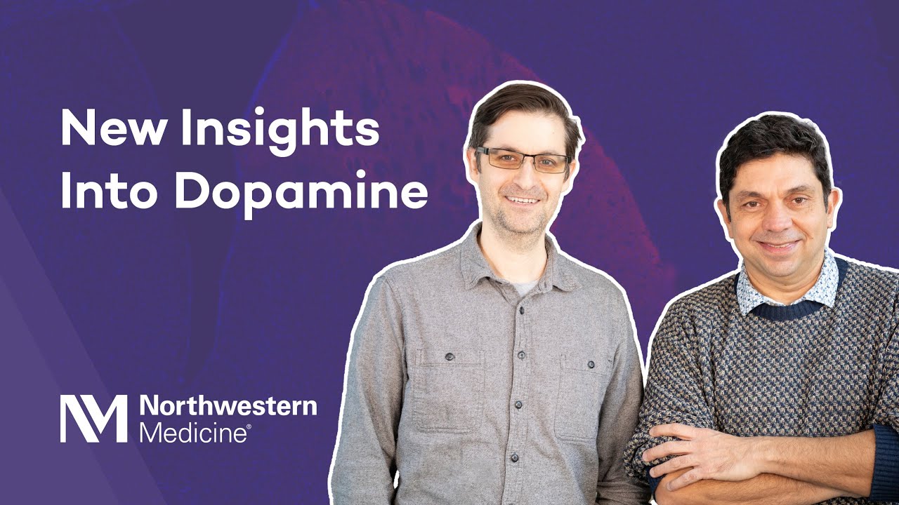 New Insights Into Dopamine with Raj Awatramani, PhD and Daniel Dombeck ...