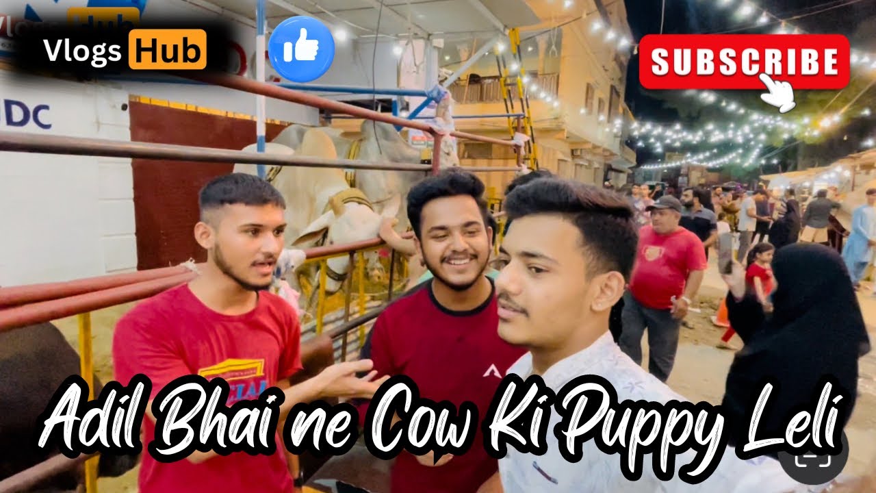 ADIL NE COW KO KI KISS 😱 || VLOG 6 || VLOGS HUB - YouTube