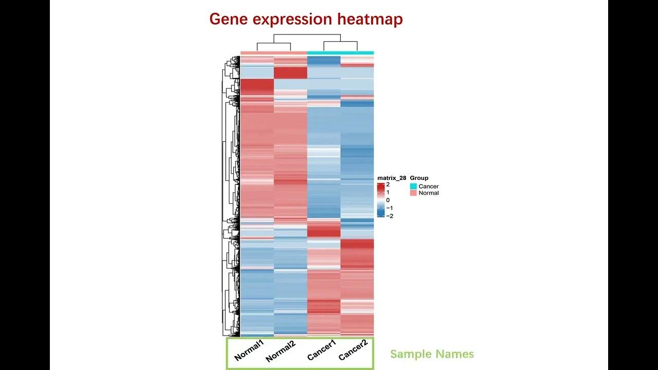 Gene expression heatmap - YouTube