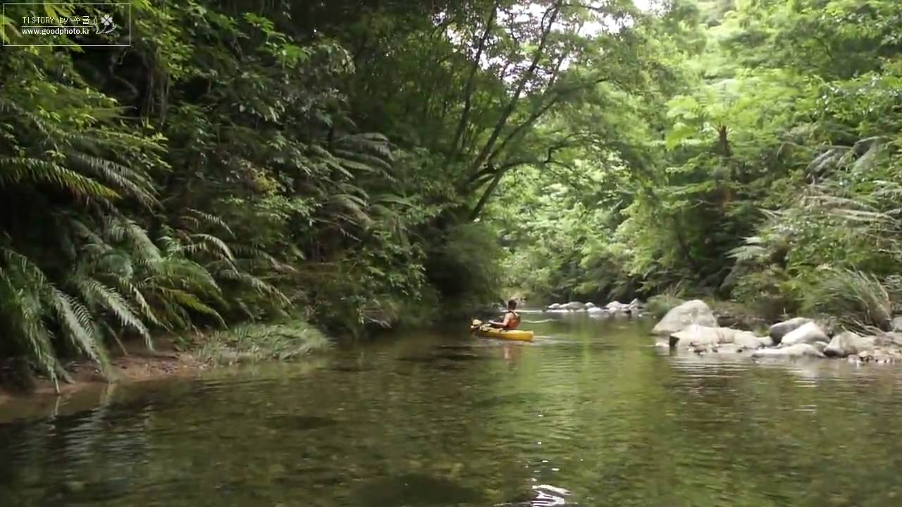 JAPAN Okinawa Yanbaru Forest Canoeing by Sony NEX 5 AVHCD - YouTube