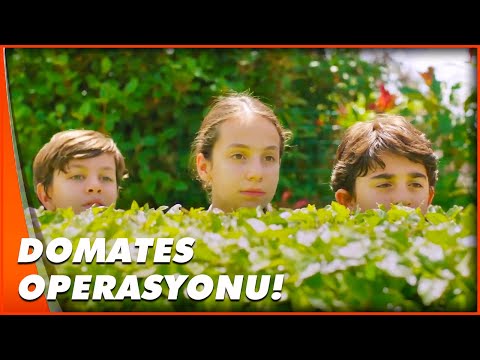 Ekip İntikam Alıyor! | Çılgın Kamp Türk Komedi Filmi