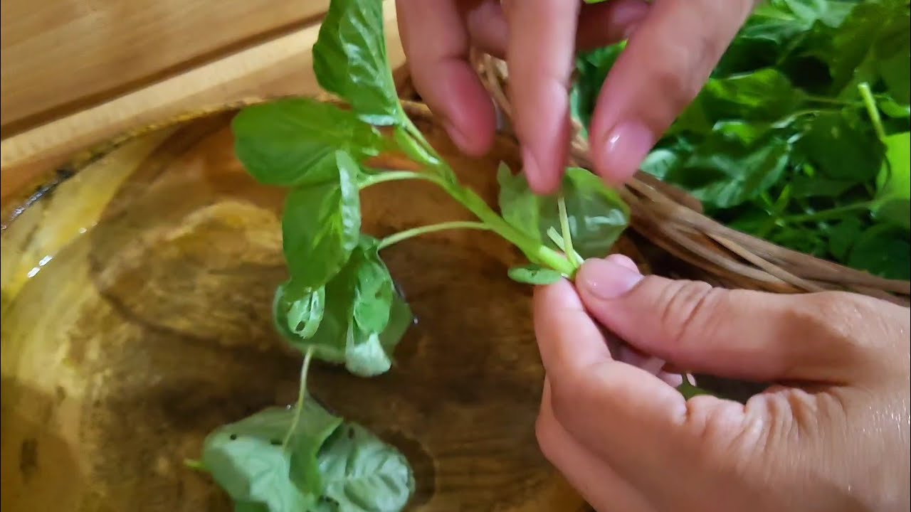 Mabisang Paraan ng Pag-aalis ng Bakterya sa mga Gulay at Prutas ...