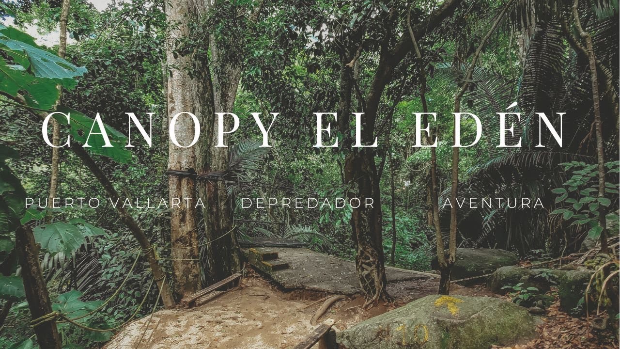 Canopy El Edén tour Puerto Vallarta, México!🌲🌳 - YouTube