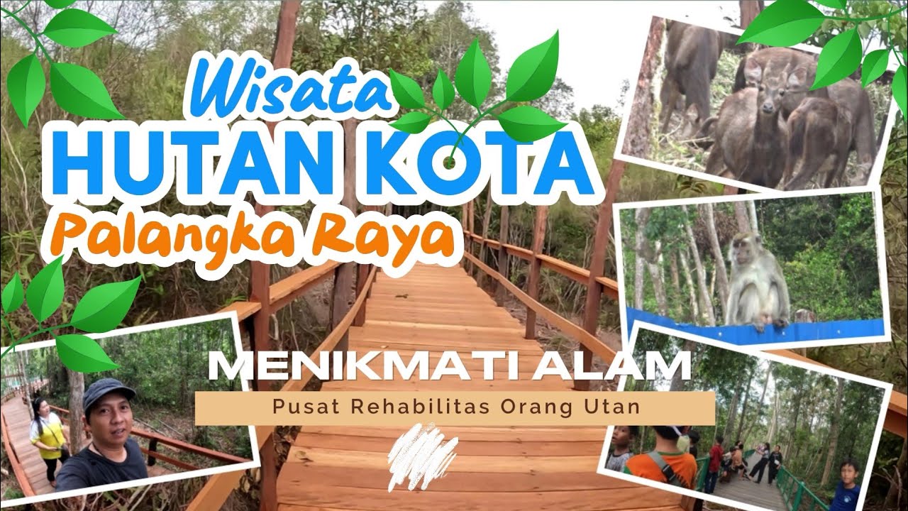Arboretum Nyaru Menteng Tangkiling - YouTube
