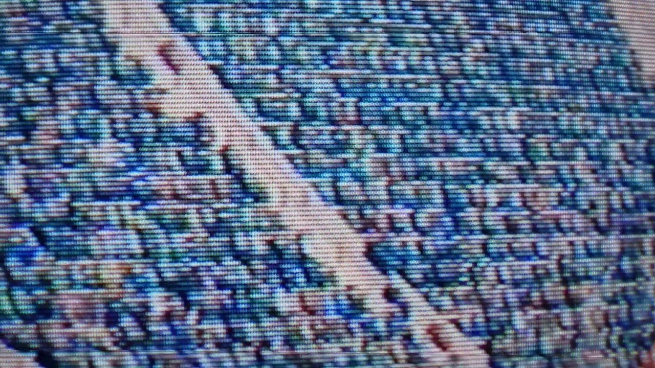 All Tim Treadless Scenes - YouTube