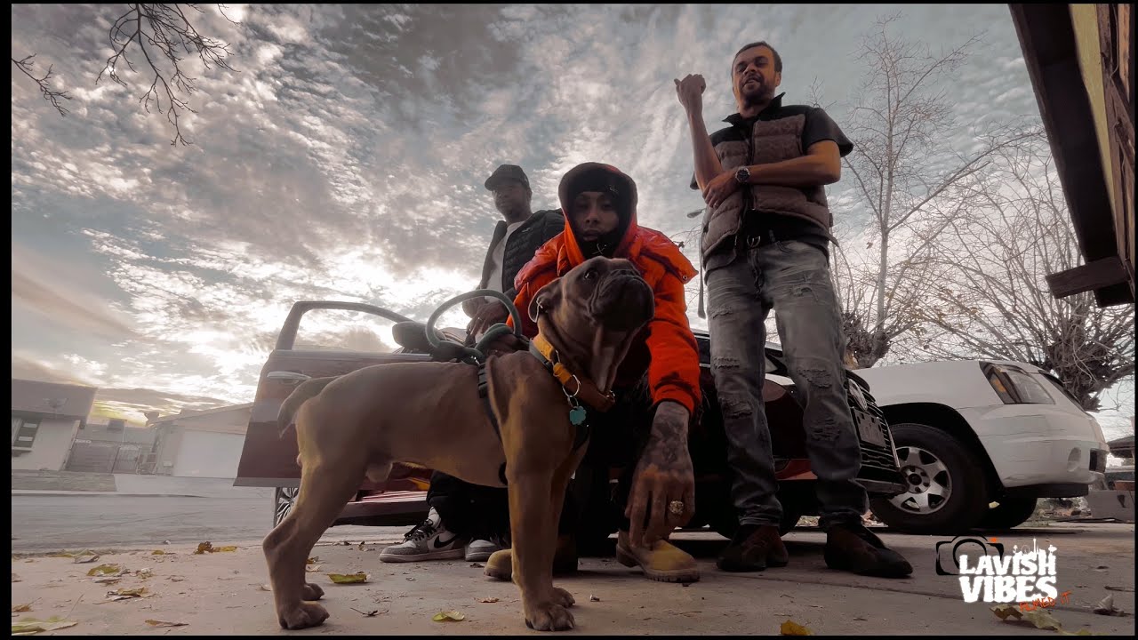 HENNY DONDADA - RED (OFFICIAL MUSIC VIDEO) 🎥 BY LAVISH VIBES - YouTube
