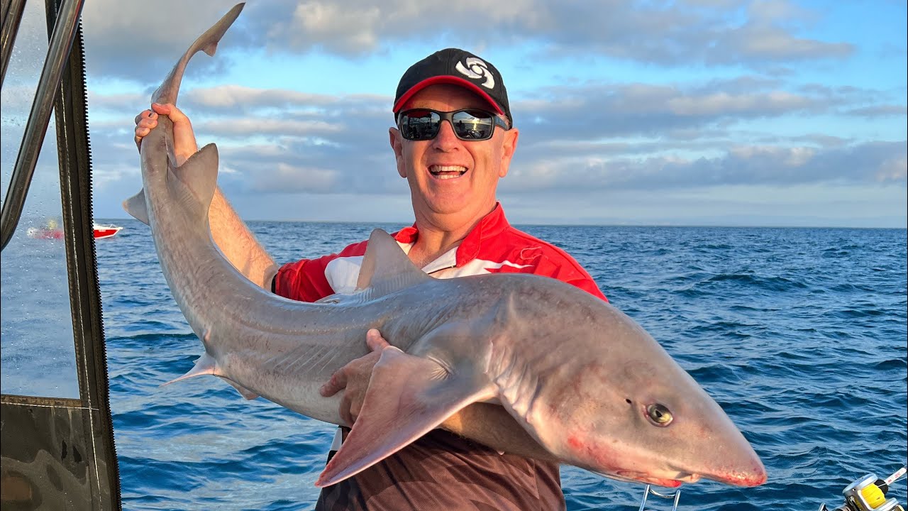 HOT FISHING SESSION- EVERYTHING IS BITING - YouTube