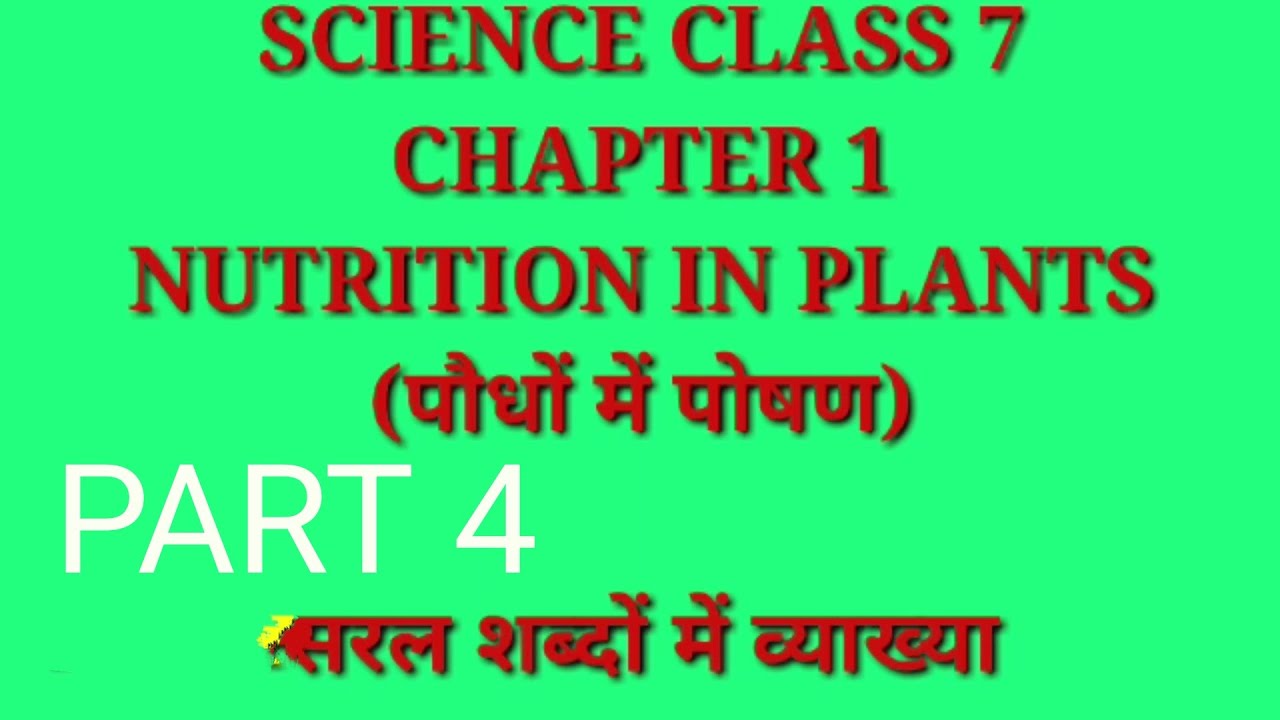 Science Class 8 Chapter 1 Nutrition in Plants part 4 - YouTube