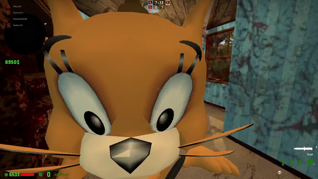 HIDE & SEEK la zoo cu TOM & JERRY - YouTube