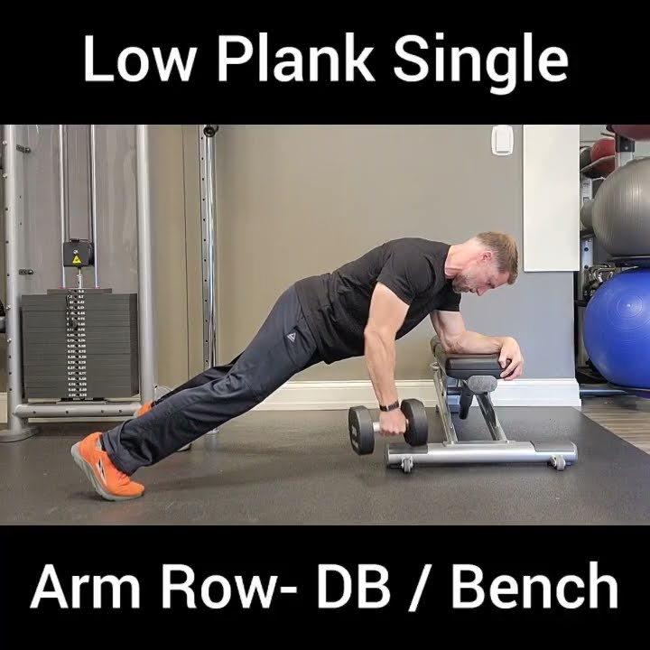 Low Plank Single Arm Row- DB / Bench - YouTube