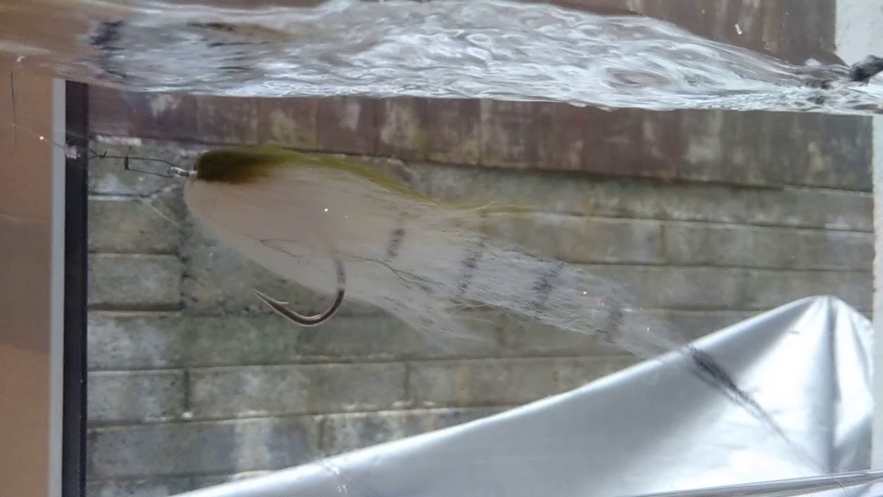 Rasta Rooster Swimming - YouTube