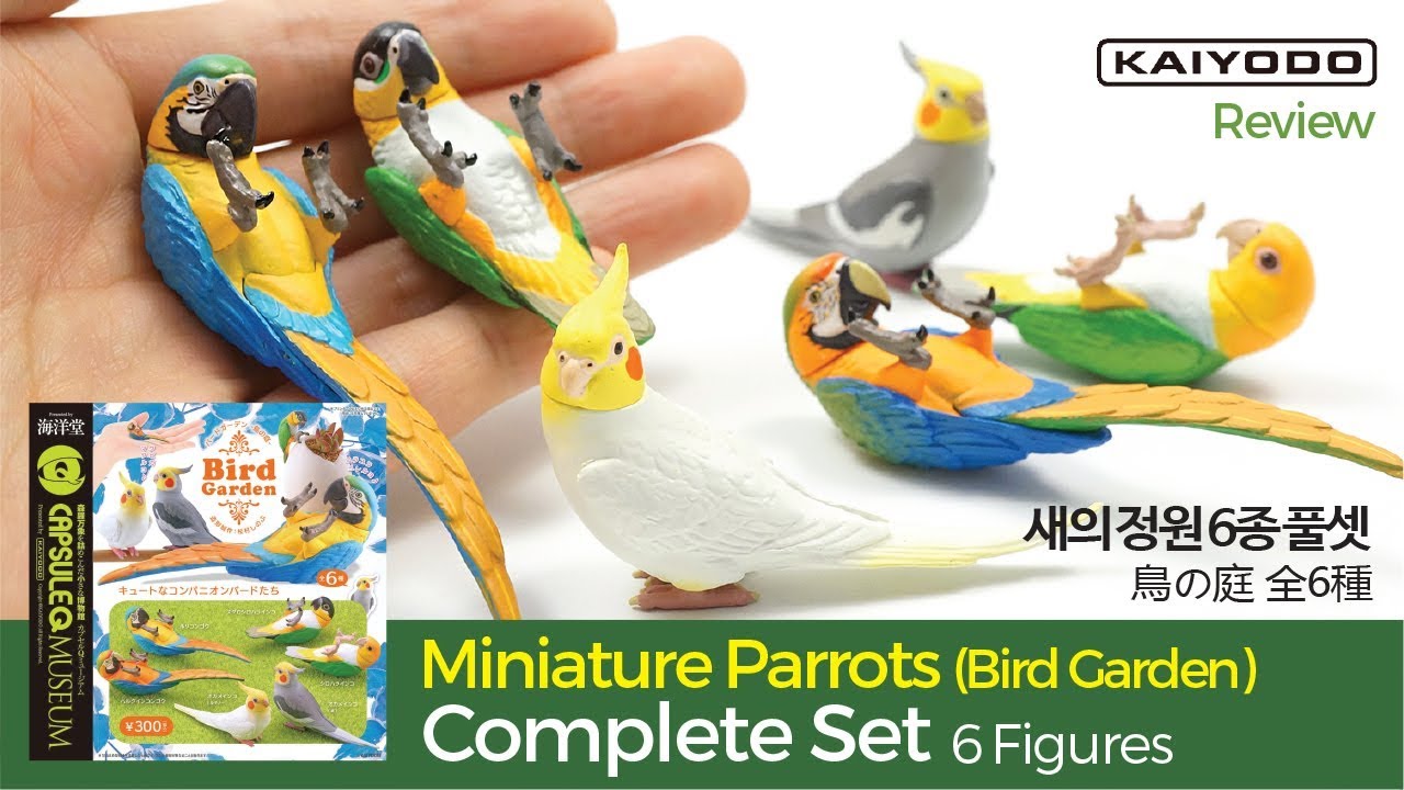 Miniature Parrots (Bird Garden) / 鳥の庭 / 새의정원 앵무새 / Capsule Q Museum ...