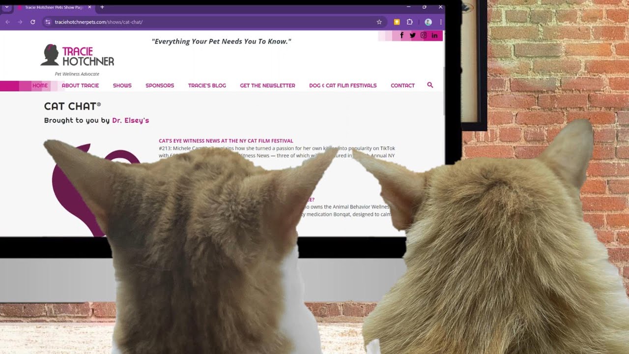 CEWN - MESSAGES - YouTube