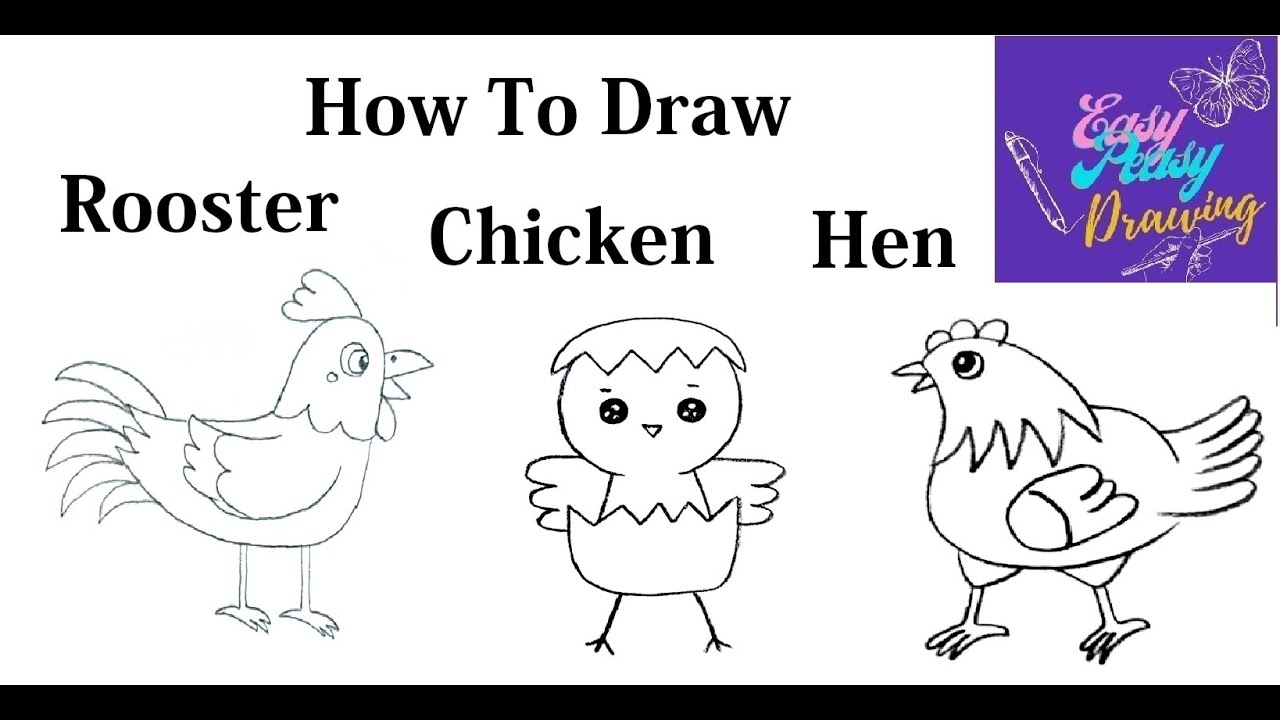 How To Draw Chicken, Hen And Rooster Step by Step - YouTube