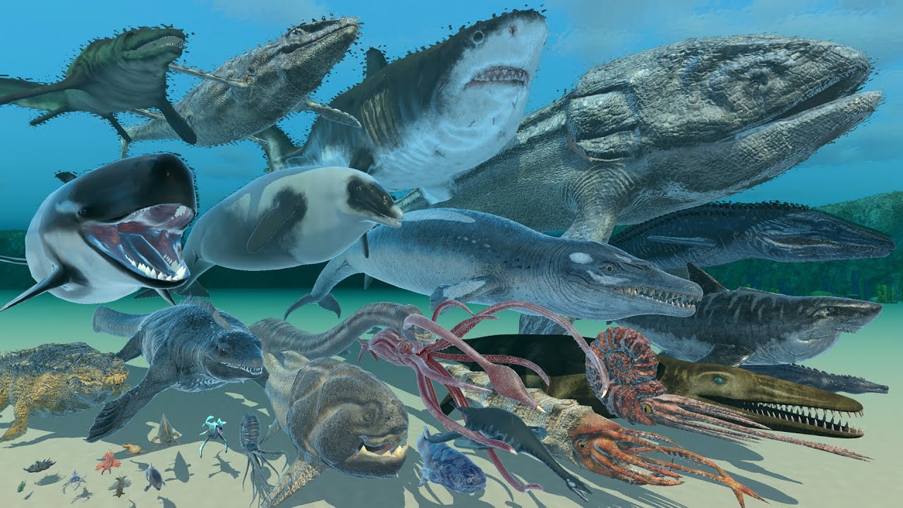 Extinct Marine Animal Size Comparison - 3D Animation Comparison - YouTube
