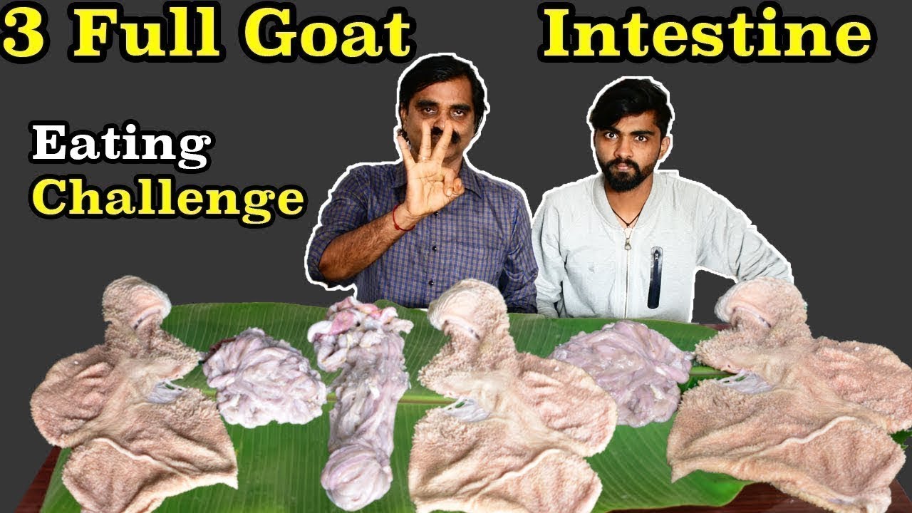 3 FULL GOAT INTESTINE Eating Challenge | ஆட்டு குடல் (Boti) | Bitter ...