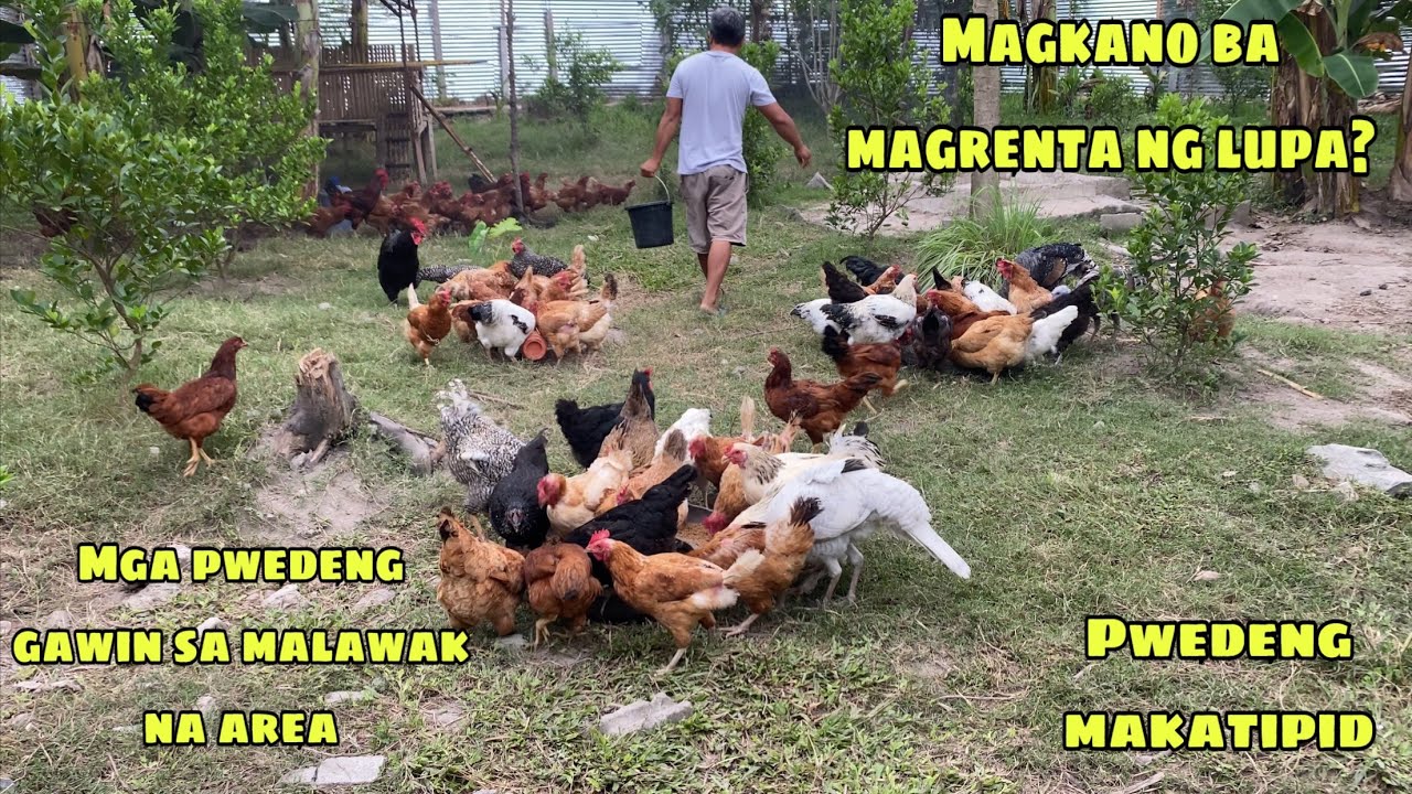 MAGKANO BA MAGRENTA NG LUPA MONTHLY O YEARLY | MGA DISKARTE SA MALAWAK ...