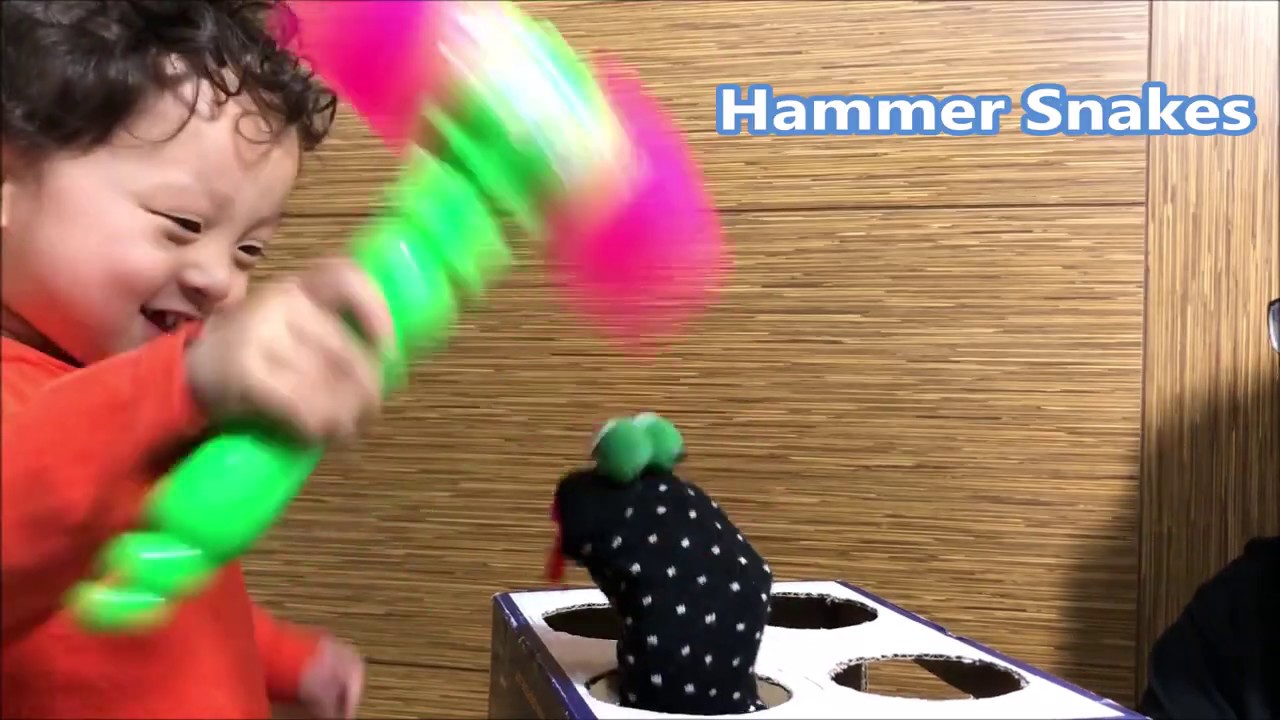 Hammer Snakes Played with DIY Sock Puppets! | Happy Friday - YouTube