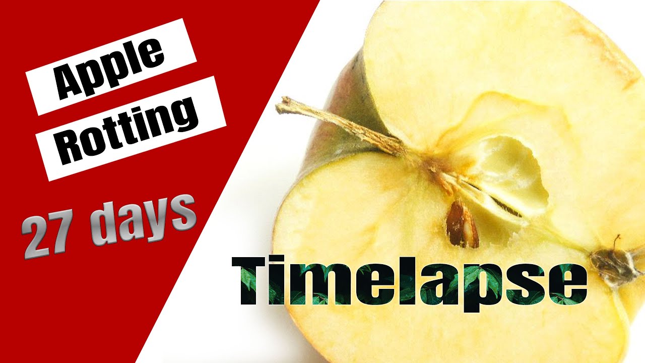 Timelapse Apple rotting 4K - Food Time-lapse - YouTube
