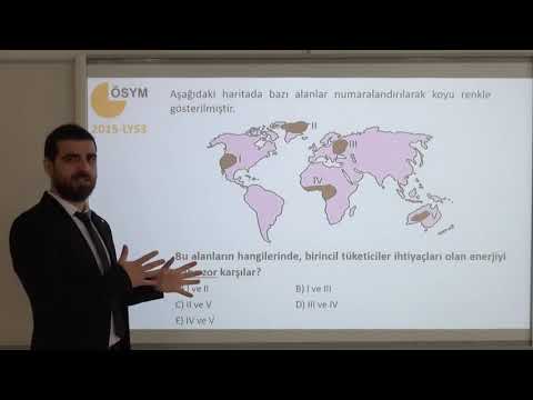 Ekosistem - Enerji akışı - Madde döngüsü - Coğrafya - YKS - AYT