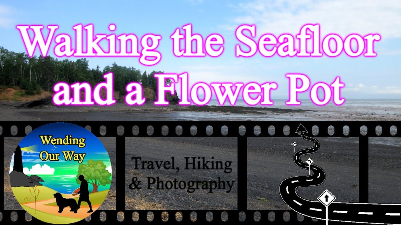 Bramber Flower Pot Rock, Mutton Cove, Minas Basin, Bramber, Nova Scotia ...