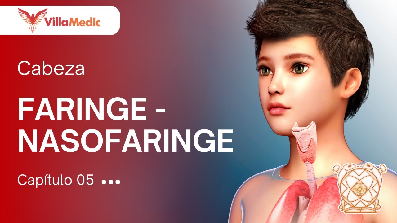CC.BB. ANATO | Cabeza: Faringe - Nasofaringe - VillaMedic - YouTube
