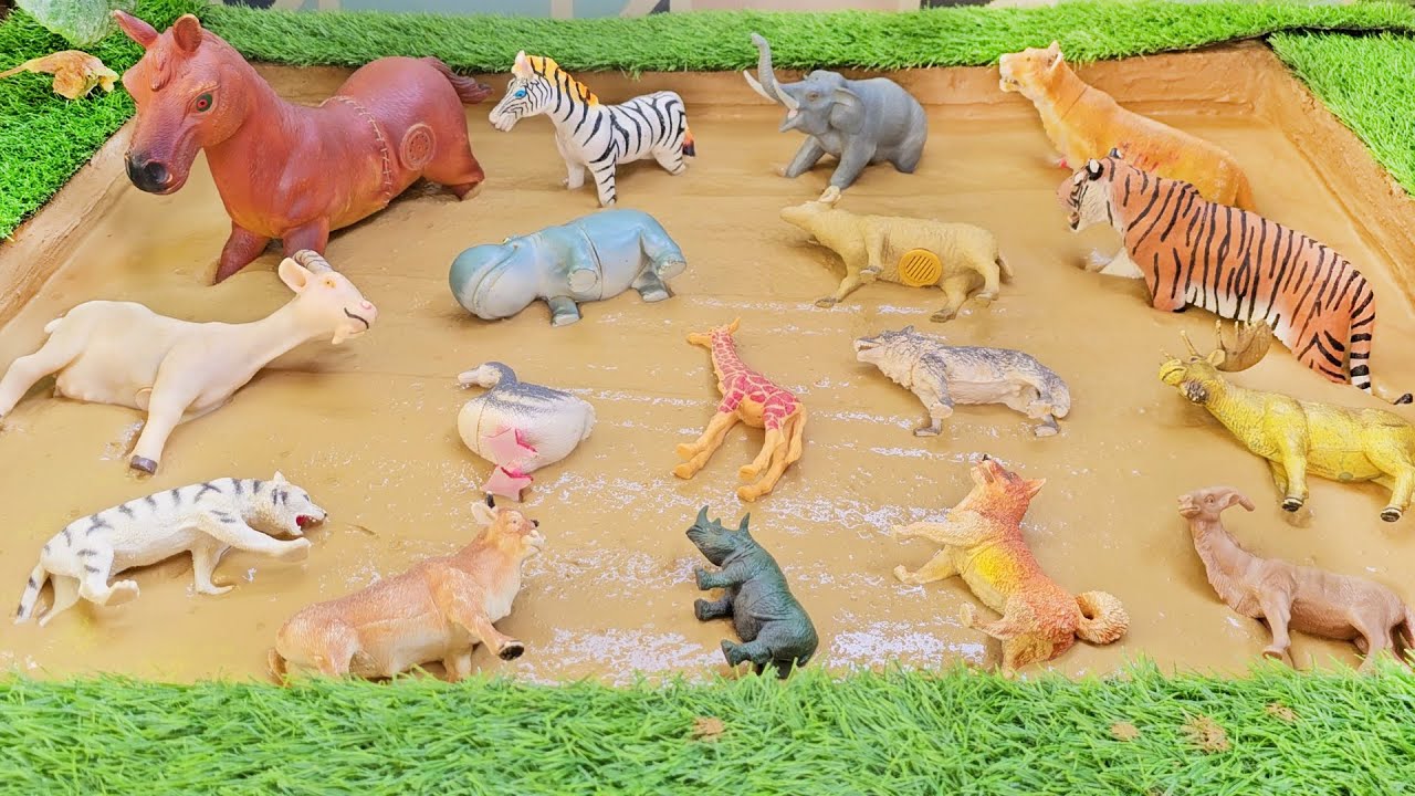 The Great Muddy Mix-Up: Desert Farm Animals and Land Animals Play ...